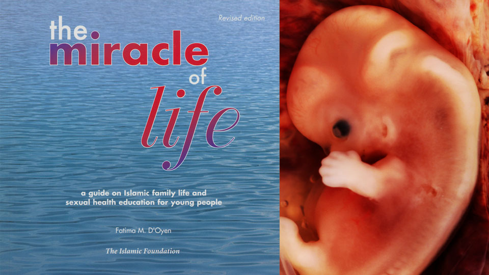 Book review of "Miracle of Life" | SoundVision.com