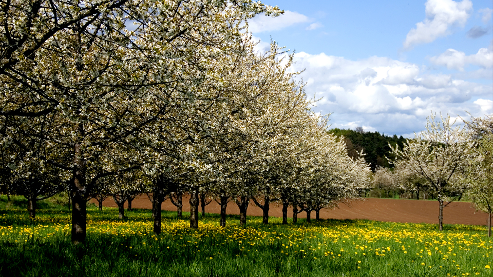 11 spring break ideas | SoundVision.com