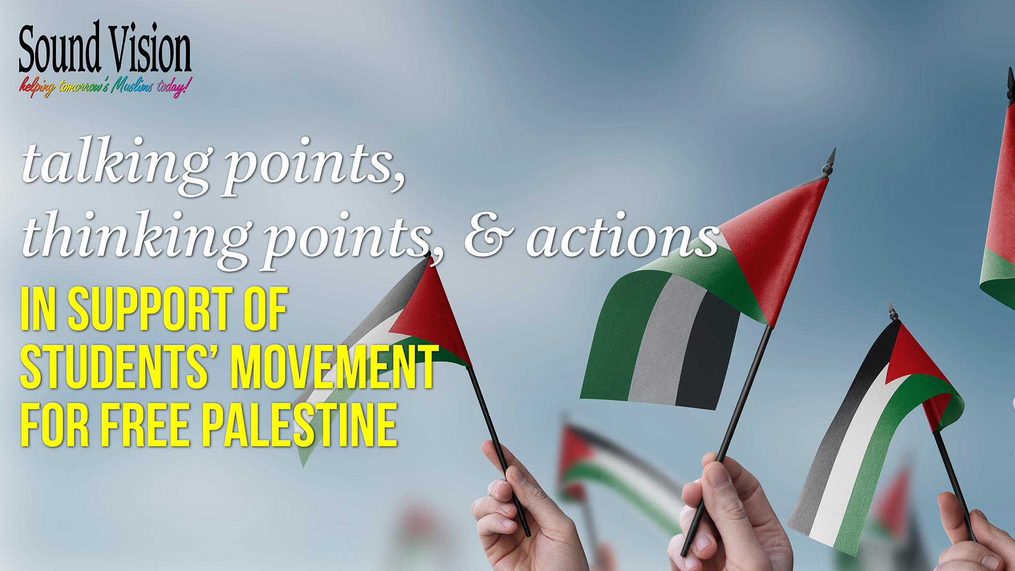 Talking Points And Thinking Points About The Free Palestine Movement ...