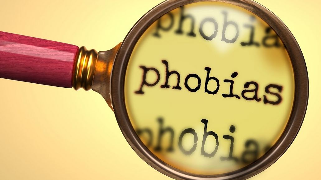 Understanding Phobias: Finding Connections and Seeking Compassion ...
