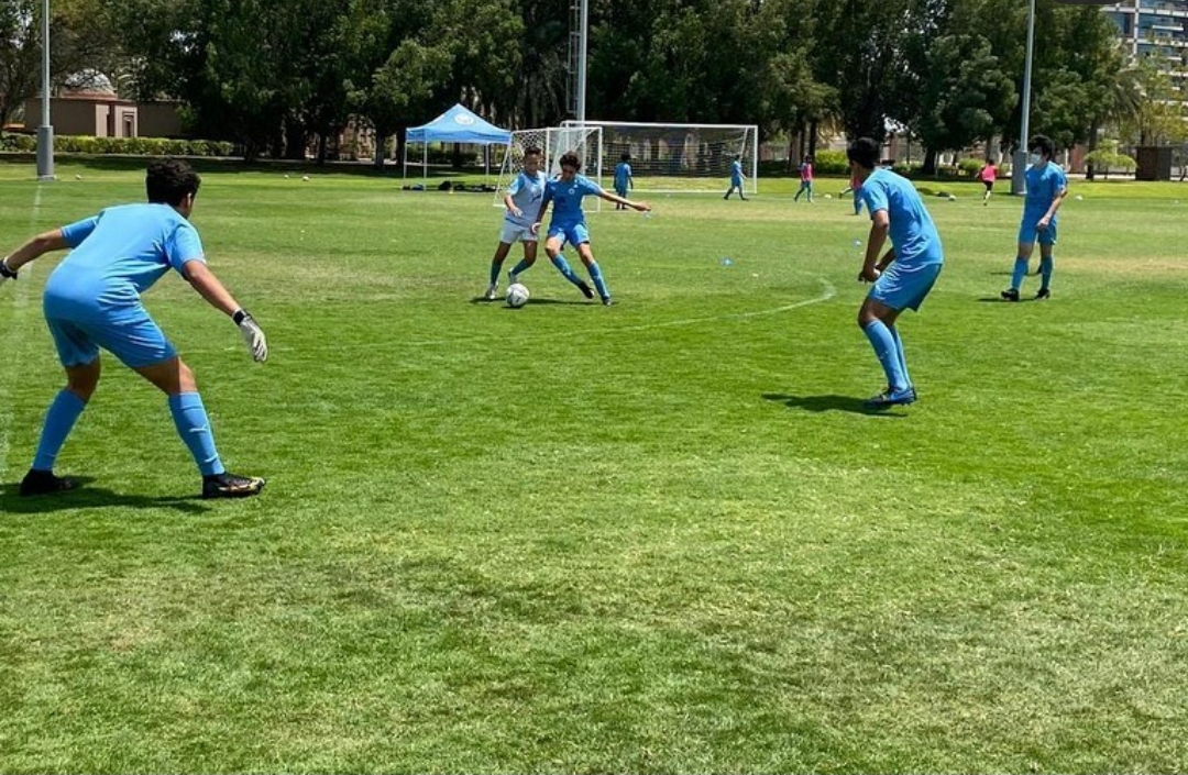 Value of Team Sports: Beyond Physical Fitness